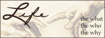 Life: The What, The Who, The Why - Zerubabbel Press